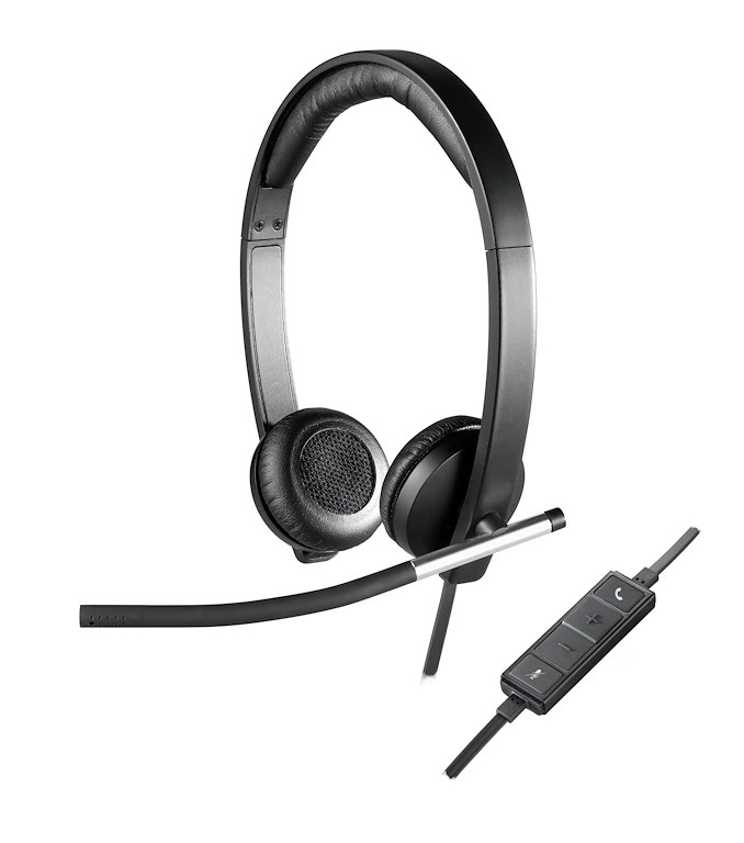 Slušalice LOGITECH H650e Stereo USB