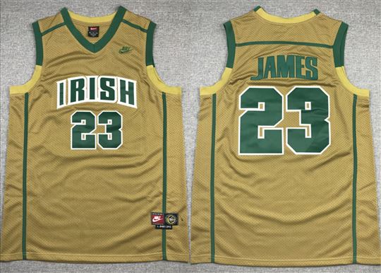 Lebron James - ST. Vincent St. Mary Irish dres #2