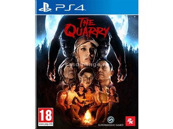 Ps4 The Quarry