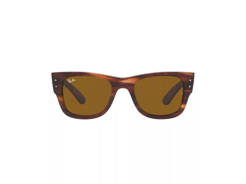 Ray-Ban Mega Wayfarer Naočare za sunce RB 0840S 954/33