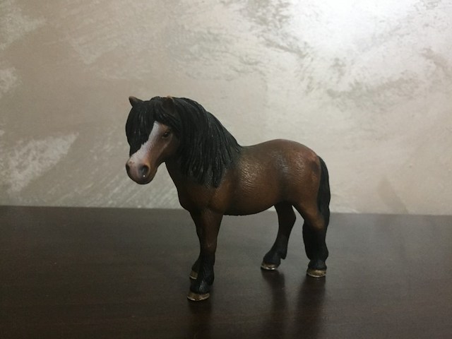 Schleich - konj