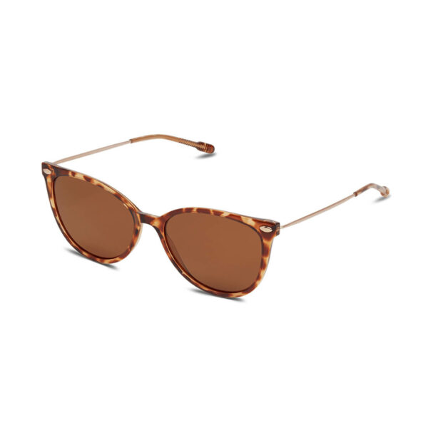 Nooz 5407009512872 Essential Sun Ivy Tortoise