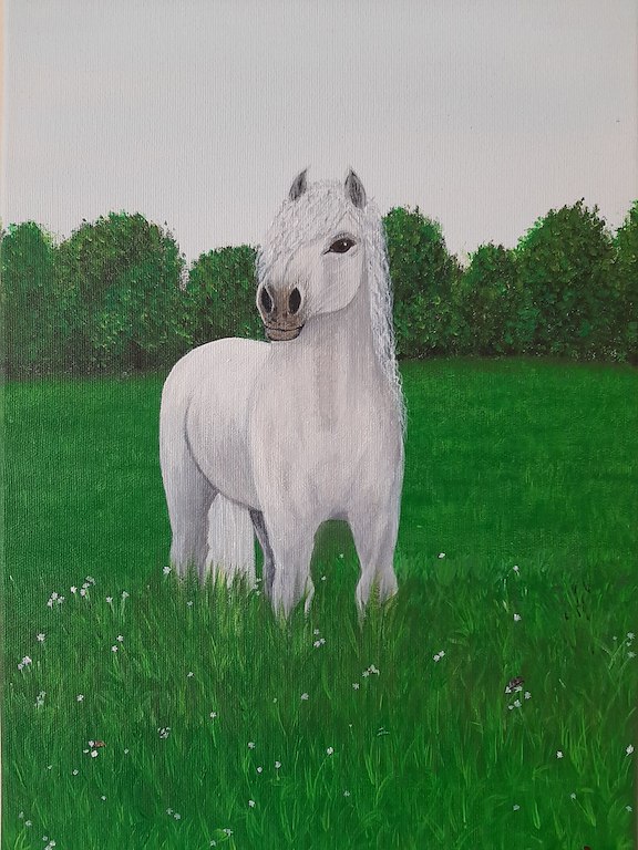 Beli konj