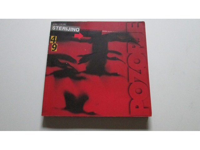 49. Sterijino pozorje 2004