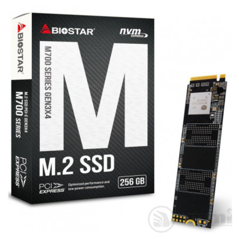 Biostar M.2 256GB