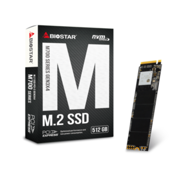 Biostar M.2 512GB