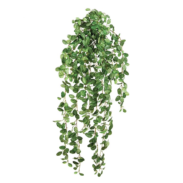 FLORA WORLD Veštački viseći žbun Fitonija