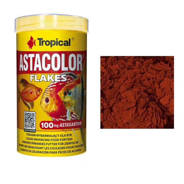 Tropical AstaColor
