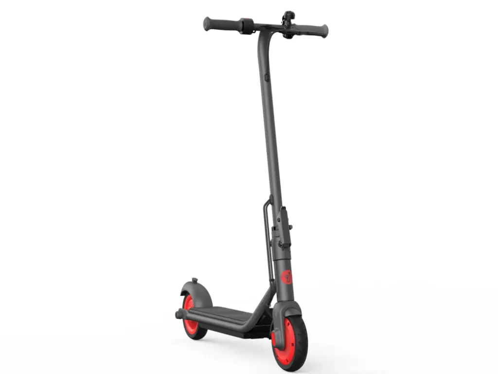 SEGWAY Električni trotinet Ninebot Zing C20 crni