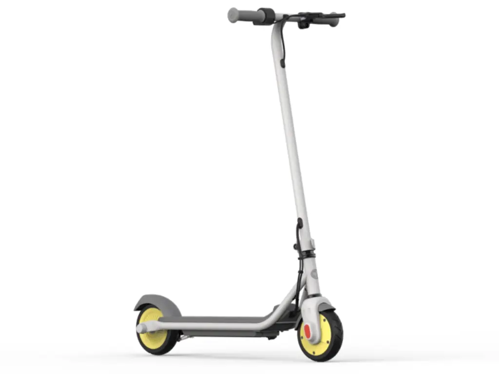 SEGWAY Električni trotinet Ninebot Zing C10 sivi