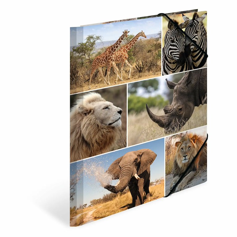 HERMA Plastificirana fascikla sa gumicom Africa animals 240x320x15mm šarena