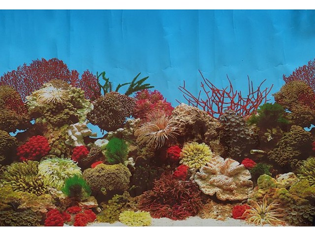 Dvostrani poster za akvarijum 60 x 40 cm