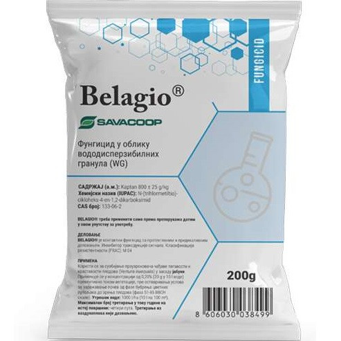 Fungicid Belagio WG 200gr