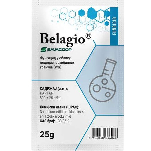 Fungicid Belagio WG 25gr
