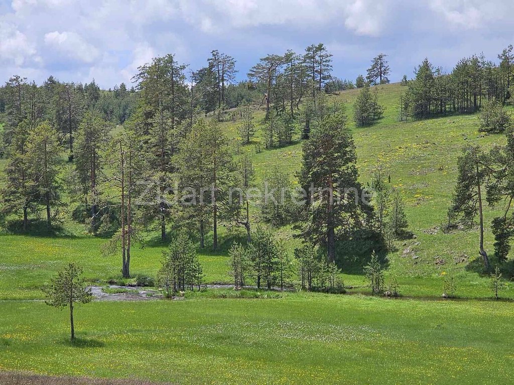 Zlatibor, Vodice, 1.5ha, Izuzetno, Preporuka