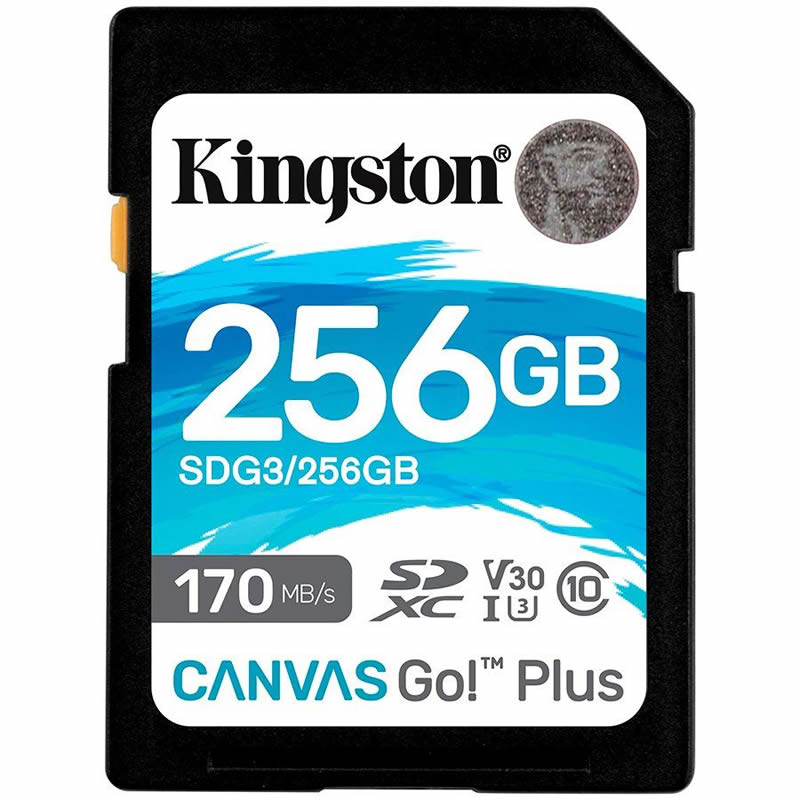 Kingston SD Card 256GB SDG3/256GB