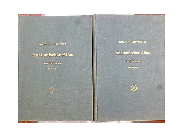 Anatomischer Atlas-Told-Hochstetter