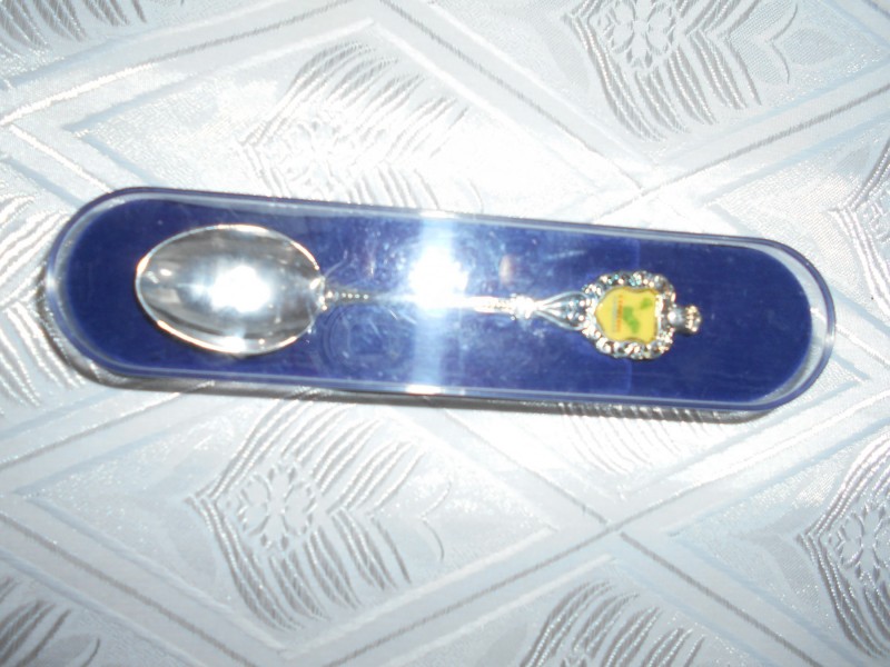 RASPRODAJA--Kolekcionarska kasika EXPO 2000