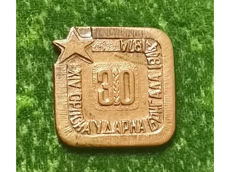 XIV SRPSKA UDARNA BRIGADA 1944-1974.