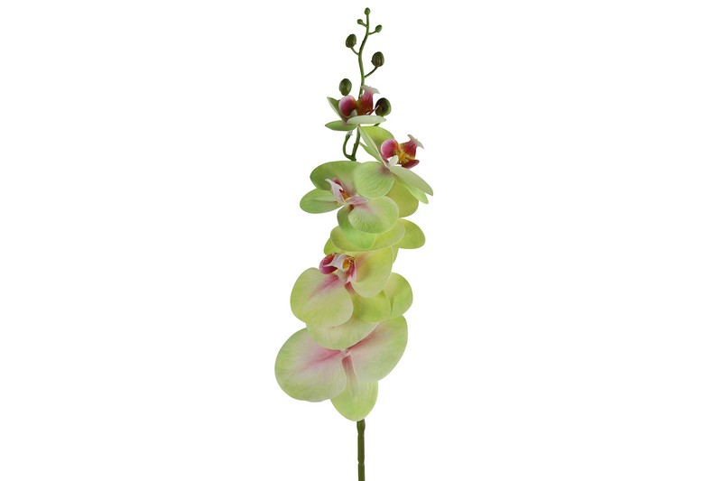 Cvet ORCHID 83cm 796072 - Green - DCS