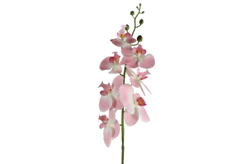 Cvet ORCHID 83cm 796074 - Pink - DCS