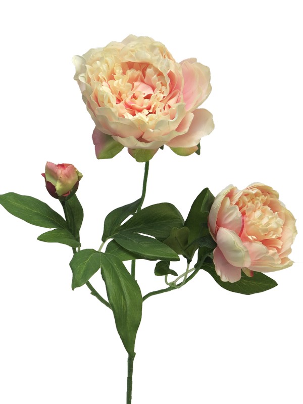 Cvet PAEONIA 70cm 11157-7 - Pink - NNT