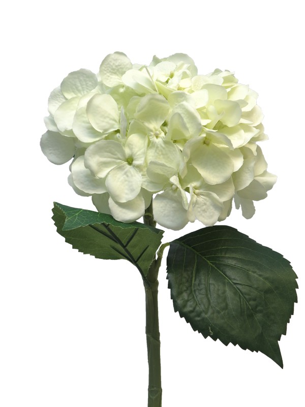 Cvet HYDRANGEA 48cm 12275-0 - Cream - NNT