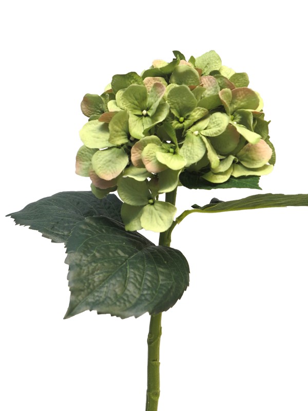 Cvet HYDRANGEA 48cm 12275-2 - Green - NNT