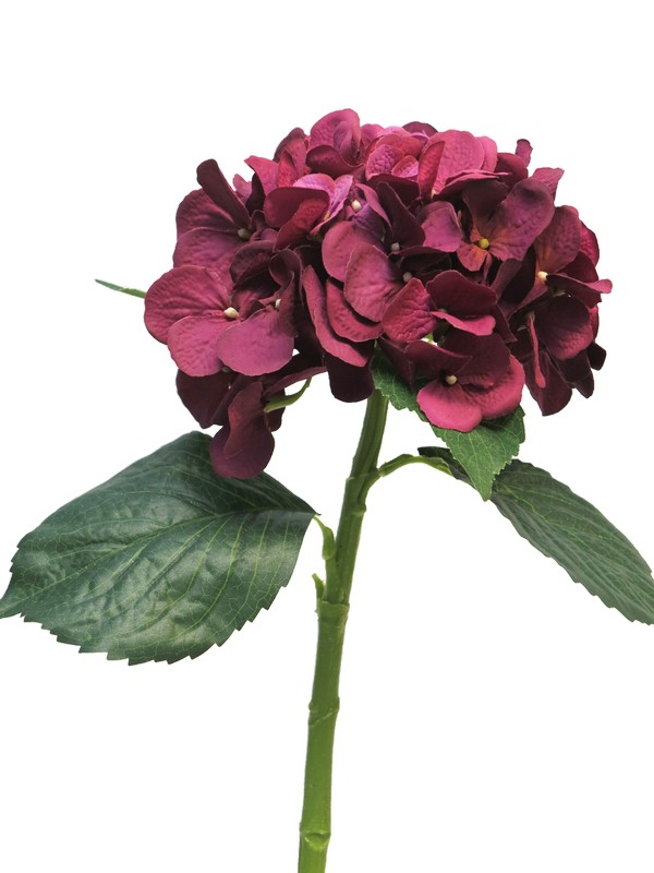 Cvet HYDRANGEA 48cm 12275-6 - Bordeaux - NNT