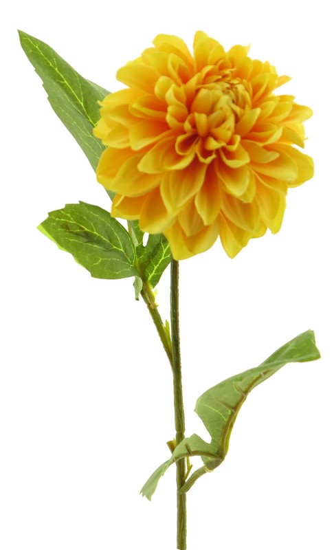 Cvet DAHLIA 50cm 13266-2 - Yellow - NNT