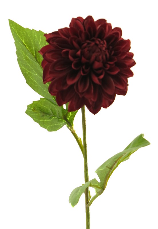 Cvet DAHLIA 50cm 13266-3 - Bordeaux - NNT