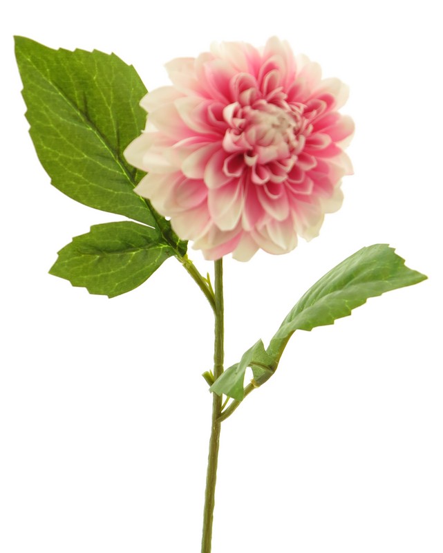 Cvet DAHLIA 50cm 13266-7 - Pink - NNT