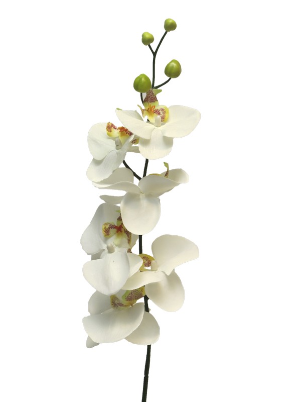 Cvet ORCHID 78cm 11518-0 - Cream - NNT