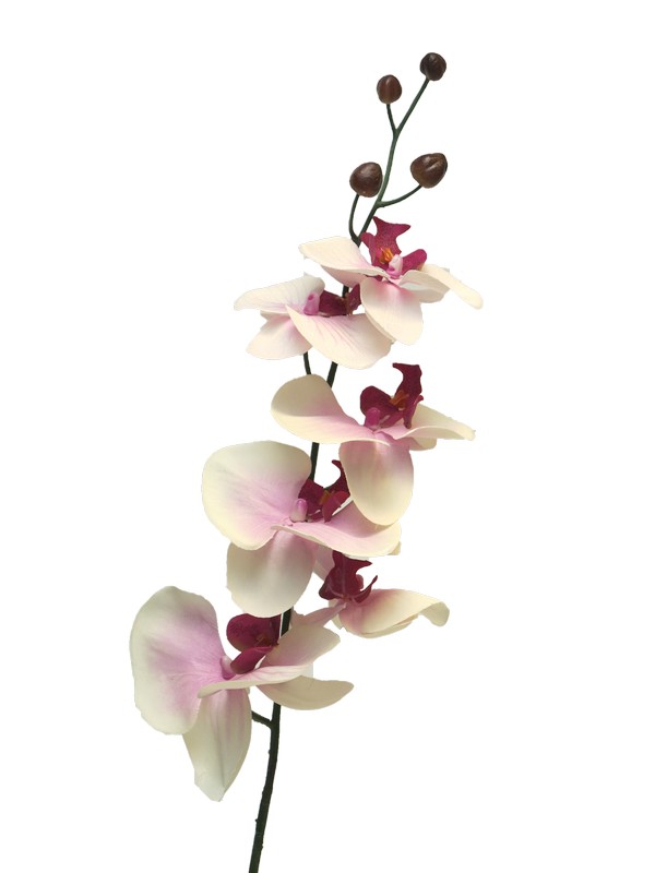 Cvet ORCHID 78cm 11518-6 - Cream/Lavender - NNT