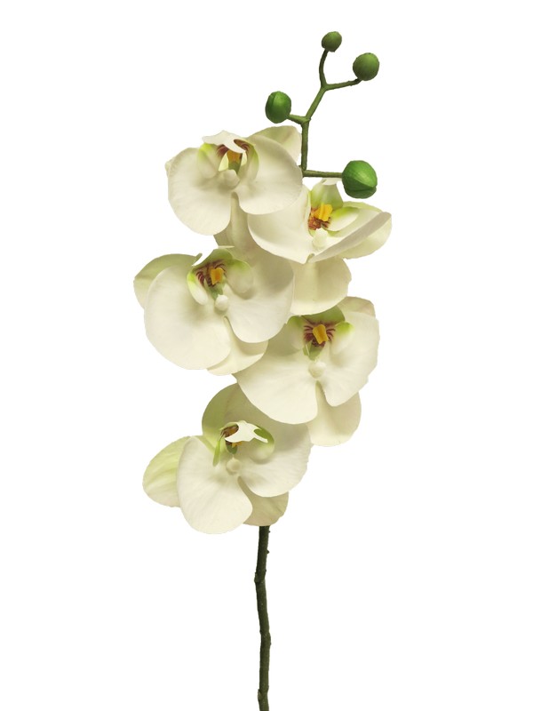 Cvet ORCHID 58cm 13015-0 - White - NNT