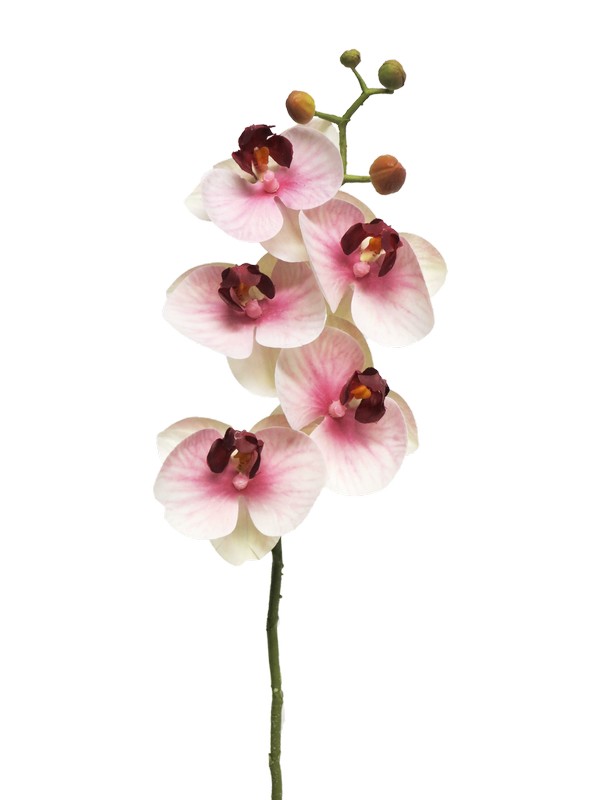 Cvet ORCHID 58cm 13015-7 - Pink - NNT