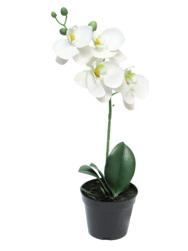 Cvet u saksiji ORCHID 35cm 51345-0 - White - NNT