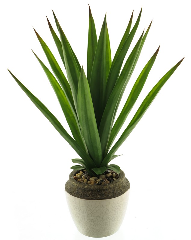 Cvet u saksiji ALOE 46cm 51929-1 - Green - NNT