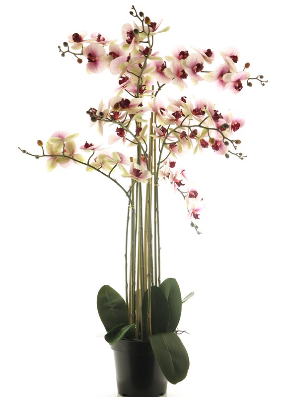 Cvet u saksiji ORCHID 110cm 51341-7 - Pink - NNT