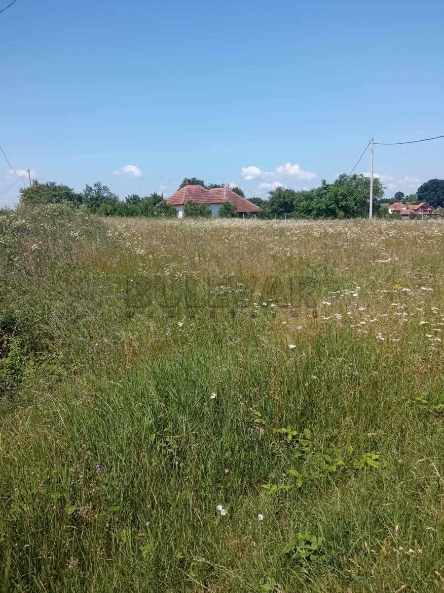 Poljoprivredno zemljište, Drača kod Kragujevca -1390 m2