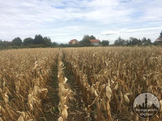 Prodajem gradjevinsko zemljište Irig, Fruška Gora