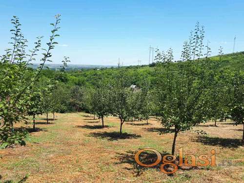 Plac u Krčedinu 4800m2 HITNO!