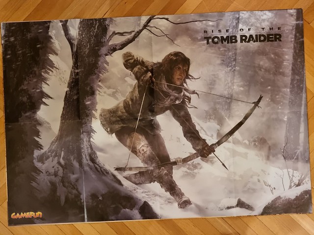 Poster Rise of the Tomb Raider - (LG)