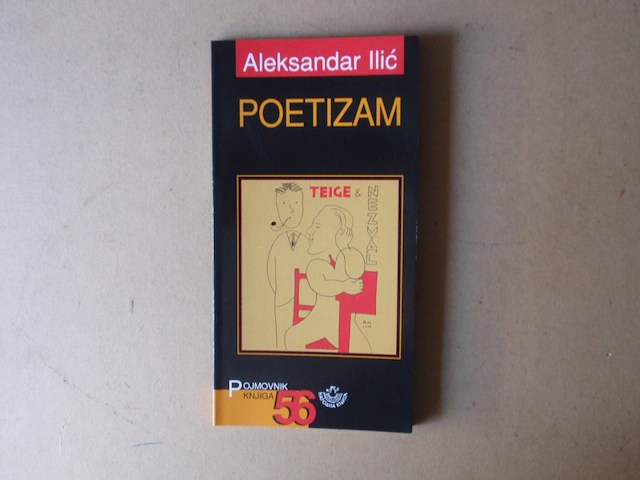 Aleksandar Ilić - POETIZAM
