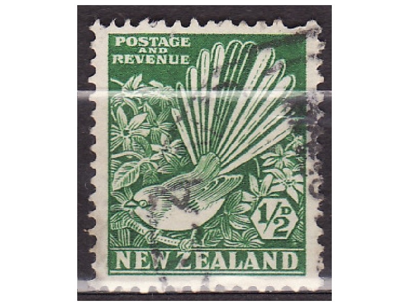 Nowi Zeland - ptica