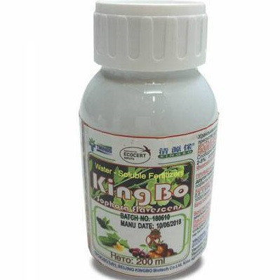 Kingbo AS 200ml