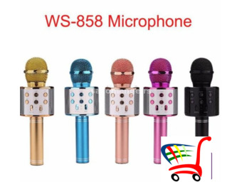 WS 858 Wireless Karaoke Mikrofon - WS 858 Wireless Karaoke Mikrofon