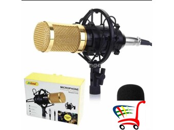 Mikrofon kondenzator - Mikrofon kondenzator