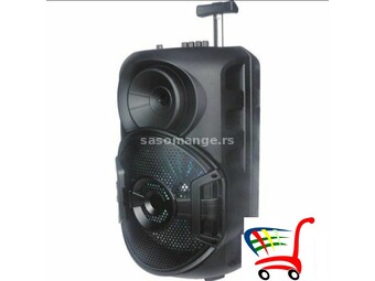 Kvalitetan blutut karaoke prenosivi zvučnik - ZQS-12106 - Kvalitetan blutut karaoke prenosivi zvu...