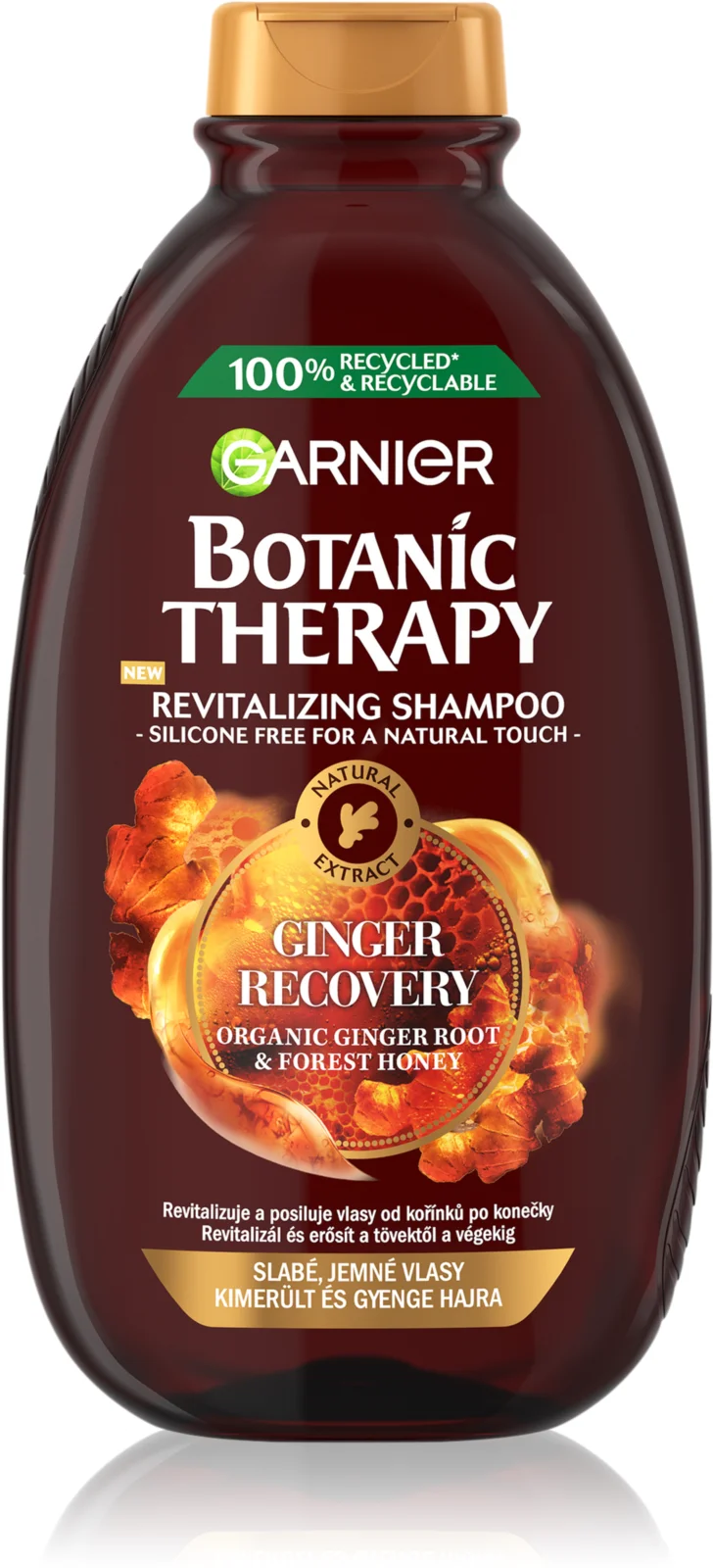Botanic Therapy Ginger Recovery šampon za kosu 250ml